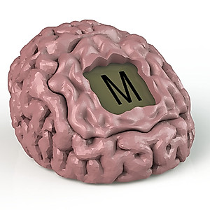 PlayMonster Brain Fart Party Game -- Think Fast -- Fun Game Night -- players : 4+ , Ages 14+