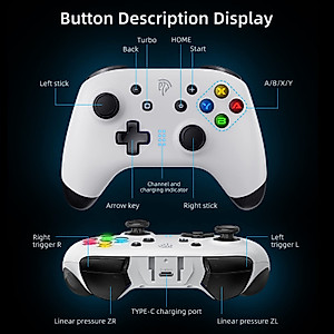 EasySMX Switch Controllers, Wireless Switch Pro Controller for Switch/Switch Lite/Switch OLED/PC/iOS/Android,Switch Remote Gamepad with LED Light/Programmable/Vibration/Turbo/Wakeup/Screenshot