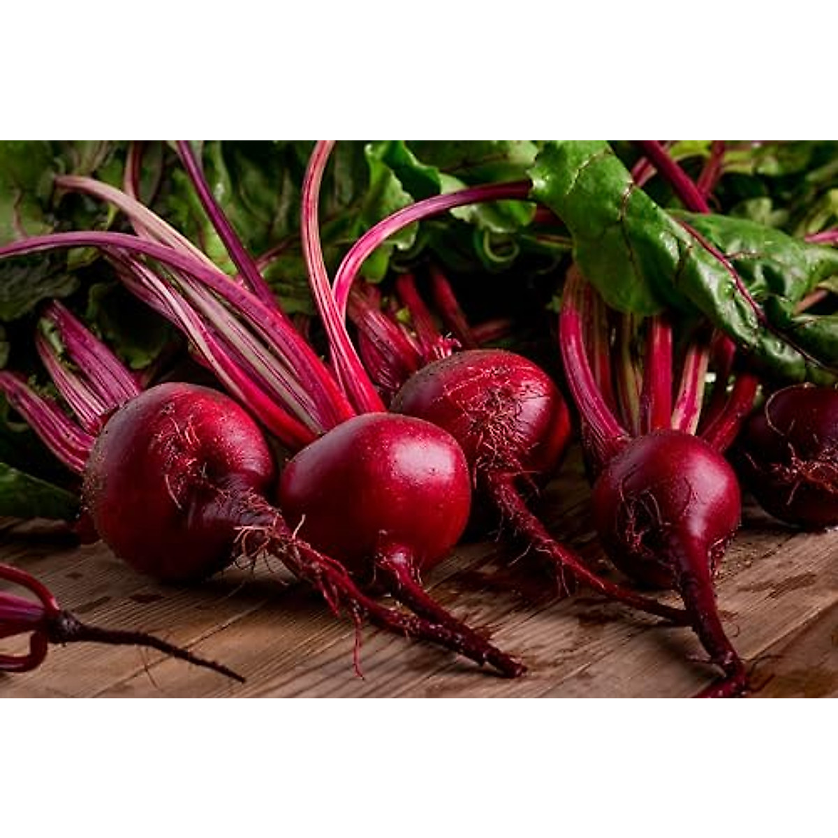 Beet Seeds for Planting - Non-GMO Heirloom Seed Packets with Instructions to Plant & Grow an Outdoor Vegetable Garden - Great Gardening Gift - 50 Ruby Queen Beet Seeds Per Packet (1 Packet)