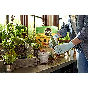 Miracle-Gro Cactus, Palm & Citrus Potting Mix, 8 qt.