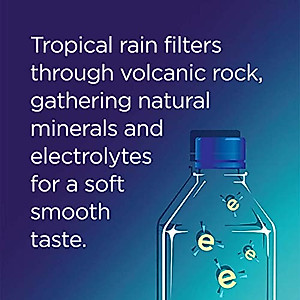 FIJI Natural Artesian Water, 16.9 Fl Oz (Pack of 24)
