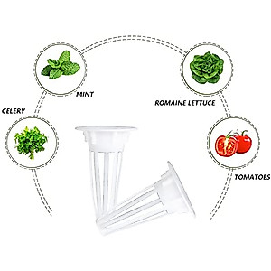 yeshine 50PCS Grow Baskets Plant Pod Replacement for Hydroponic Growing System Seed Pods Baskets for Indoor Herb Garden