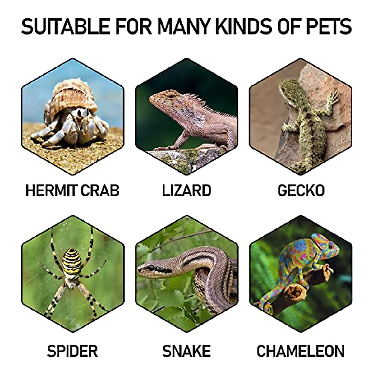 Hamiledyi Bearded Dragon Dinosaur Decor 4 Pack Reptile Aquarium Accessories Resin Triceratops Skull Amphibians Hides and Caves for Snake Gecko Chameleon Lizard Spider