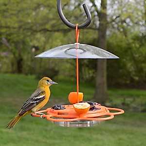 Nature's Way OFP1 All-in-One Oriole Buffet Bird Feeder, Orange