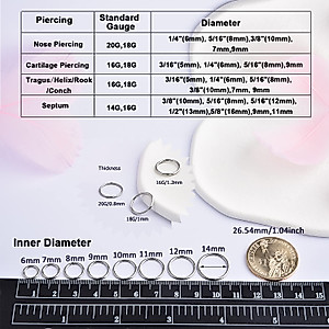 6Pcs 20g Nose Rings for Women Men 316L Surgical Steel Hinged Earring Hoops Rook Helix Cartilage Daith Tragus Earrings 6 mm 8mm 10mm Set