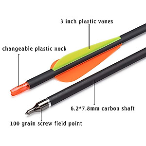 Hunter Ian Archery Carbon Arrow Hunting Arrows 28 Inch with 100 Grian Removable Tips for Compound Bow & Recurve Bow Practice Shooting (Pack of 12)