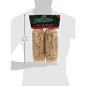 Summit 130 Clear-water Barley Straw Bales, 2-Pack
