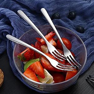 Csinos 304 Stainless Steel Mini Fruit Forks Small Dessert Forks 12-piece Appetizer Forks Silverware Set
