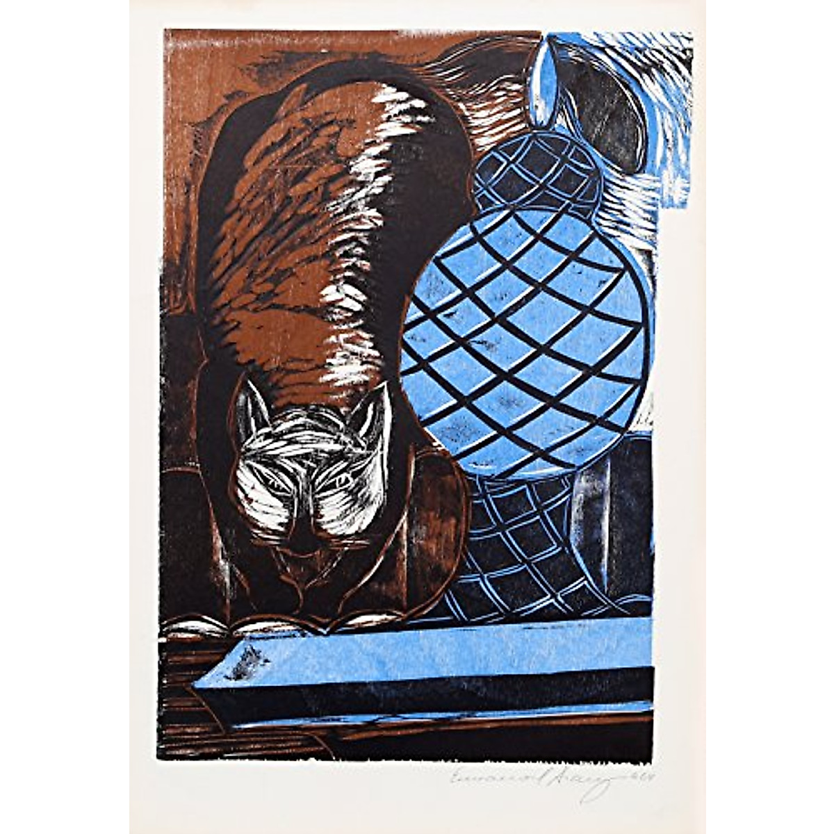 Cat from the Bahia Portfolio