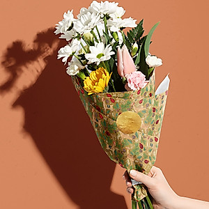 Jillson Roberts 20" x 30" Printed Christmas Gift Tissue Gift Wrapping Supplies, Endeering Forest, 24 Folded Sheets