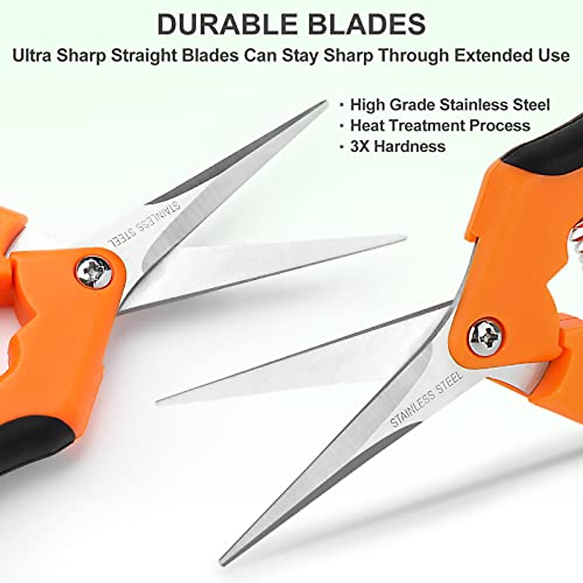 Premium Pruning Shears, Reggory Garden Shears with Upgrade Straight Stainless Steel Blades, Strong Sharp Garden Scissors, Clippers for Gardening/Indoor Plants.
