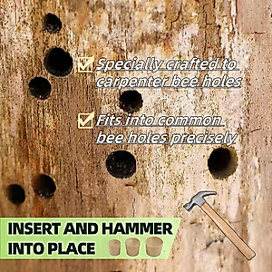 Tensland 218 Pieces 3-in-1 Carpenter Bee Holes Repair Kit, Small Medium Large Wood Bee Hole Plugs, Carpenter Bee Corks Set, 3-Step Total Fix Solution