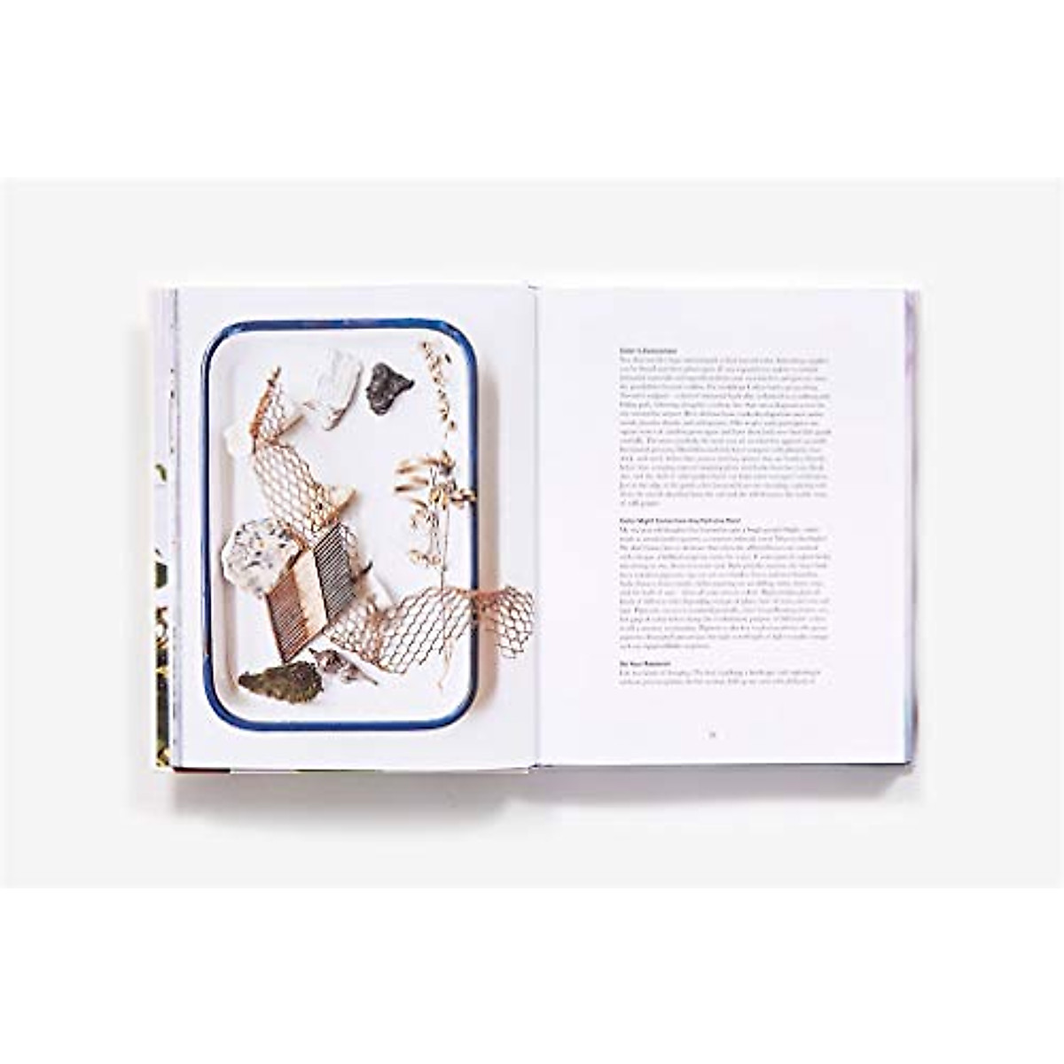 Make Ink: A Forager’s Guide to Natural Inkmaking