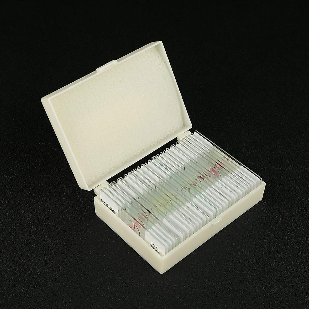 Prepared Parasitology Microscope Slide Set, Excellent 30pcs Slides Resource for Instruction at The College Level (Parasitology)