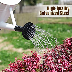 Cesun 1 Gallon Galvanized Metal Watering Can for Outdoor Plants (White and Black) – Decorative Farmhouse Style Watering Pot with Removable Spout - Perfect for Outdoor Use