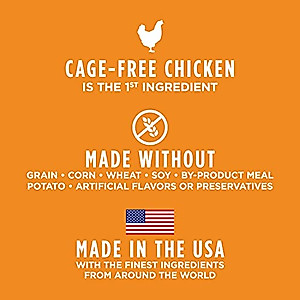 Instinct Freeze Dried Raw Boost Mixers Grain Free Gut Health All Natural Dog Food Topper, 5.5 Ounce (Pack of 1)