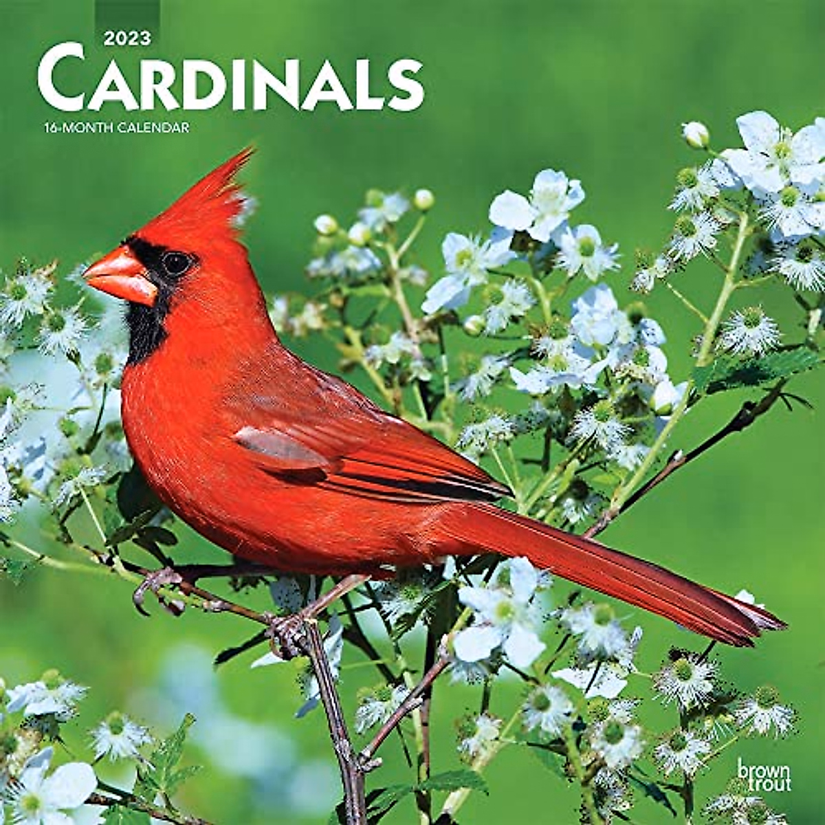 Cardinals | 2023 12 x 24 Inch Monthly Square Wall Calendar | BrownTrout | Animals Wildlife Red Birds