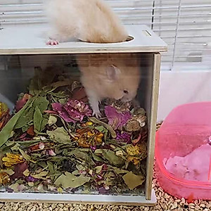 Wooden Hamster Hideout & Exploration House Hamster Sand Bath Container Small Animal Digging Box with Acrylic Transparent Board for Hamsters Mice