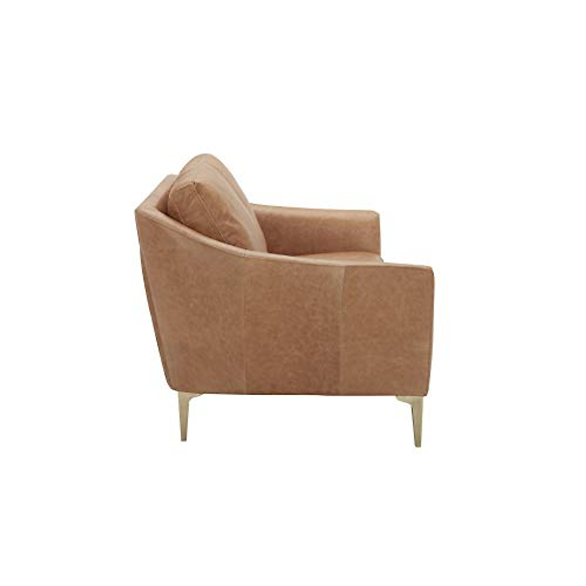 Amazon Brand – Rivet Alonzo Contemporary Leather Loveseat Sofa, 63.8"W, Cognac