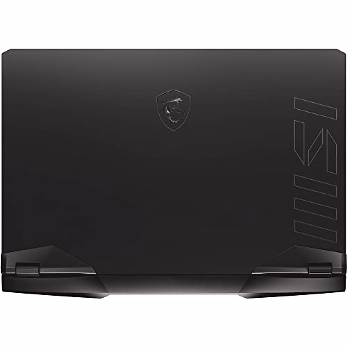 EXCaliberPC 2022 MSI Raider GE77HX 12UHS-074 (i7-12800HX, 16GB RAM, 1TB NVMe SSD, RTX 3080Ti 16GB, 17.3" FHD 360Hz, Windows 11) Gaming Laptop