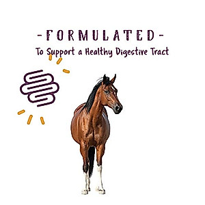 Manna Pro Corp 1000082 Opti-Zyme Microbial Digestive Supplement for Horse, 3-Pound