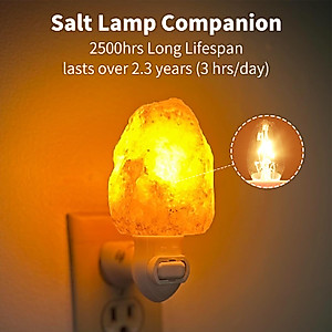 COLWATT 15-Pack Salt Lamp Bulbs, 15 Watt Light Bulb for Himalayan Salt Lamp Baskets, 120V C7 Small Night Light Bulbs, 2200K Warm White, Dimmable