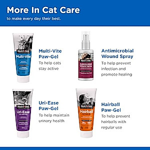 Nutri-Vet Milk Replacement For Kittens - Healthy Gut Support with Probiotics - Essential Nutrients - Veterinarian Formulated - 12 oz