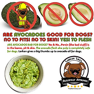 The Blissful Dog Bulldog Nose Butter, Versatile Dog Nose Balm for Dry Nose, Handcrafted Nose Moisturizer, Easy-to-Apply Dog Essentials, Unscented, 1 oz.