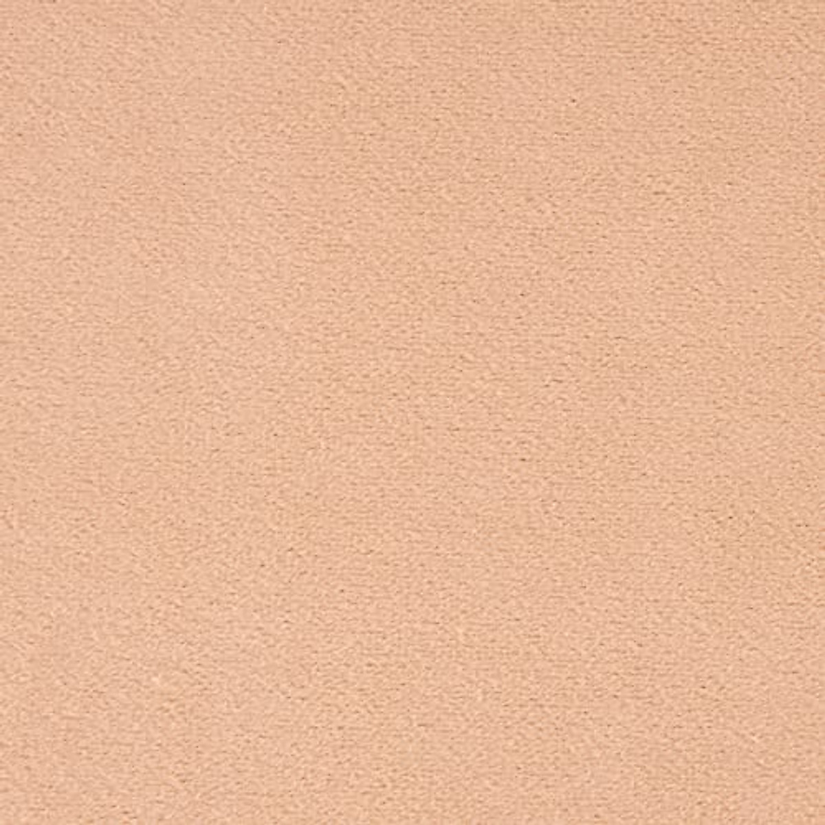 Divano Roma Furniture Classic Sectional, Champaign