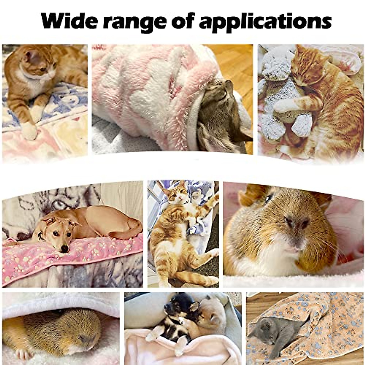 IAIGOGO Guinea Pig Blanket 3 Pack Small Animal Fleece Cage Liners Pet Warm Sleep Bedding Mat Hamster Carpet Bath Towel Quilt Cage Pad for Hamster Rabbit Ferrets Chinchillas