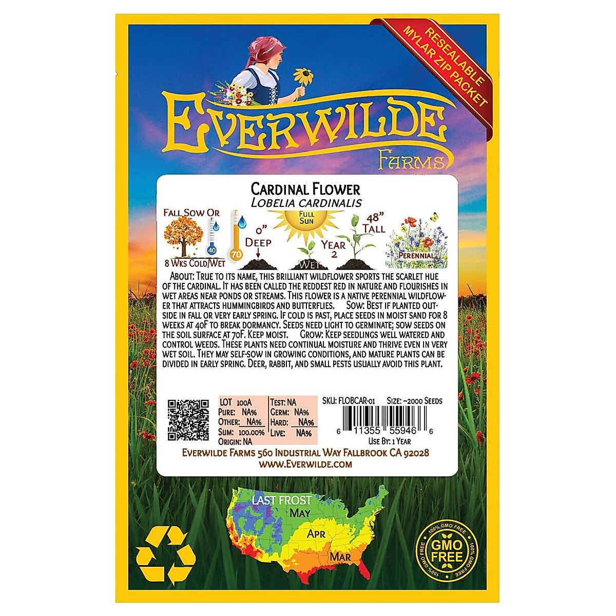 Everwilde Farms - 2000 Cardinal Flower Native Wildflower Seeds - Gold Vault Jumbo Seed Packet