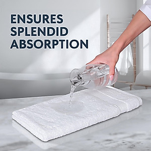 Luxury White Hand Towels - Soft Circlet Egyptian Cotton | Highly Absorbent Hotel spa Bathroom Towel Collection | 16x30 Inch | Set of 6