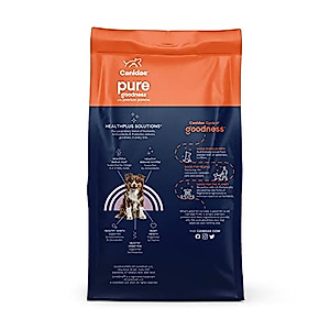 Canidae Pure Real Bison, Lentil & Carrot Recipe Adult Dry Dog 21 LB