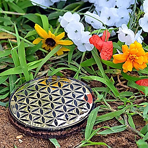 Orgonite Crystal Water Charging Plate with Black Tourmaline Healing Crystals and Flower of Life –Orgone Charging Coaster for Spiritual Cleansing and E-Energy Protection (90mm)