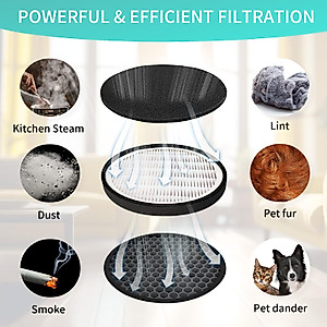 LV-H132 Replacement Filter Compatible for LEVOIT LV-H132 Air Filter, 3-in-1 H13 True HEPA and Activated Carbon Filter,Part LV-H132-RF,2 Pack