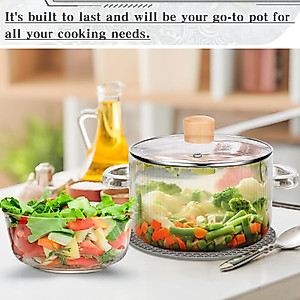 Hushee 2 Pcs Cooking Glass Pot with Lid 57 oz and Serving Bowl Glass Heat Resistant Cookware with Grip Handles with Cover Safe Clear Cooking Pots Glass Saucepan for Soup Milk Food Stove Stovetop