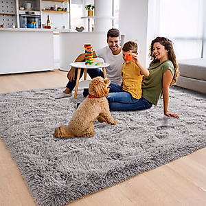 Beglad Soft Fluffy Area Rug Modern Shaggy Bedroom Rugs for Kids Room Extra Comfy Nursery Rug Floor Carpets Boys Girls Fuzzy Shag Fur Home Decor Rug, 5.3 ft x 7.5 ft, Grey