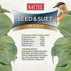 Kaytee Seed & Suet No Mess Peanut 10 Pounds