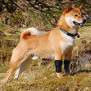 Dog Canine Front Leg Brace Wrap, Pair of Dog Leg Compression Sleeve Brace Wrap with Metal Strips Protects Wounds Brace Heals and Prevents Injuries & Sprains Helps Arthritis L/XL