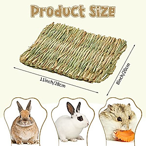 Riakrum 40 Pcs Grass mats for Rabbits Bunny Grass Mat Woven Straw Mat Bed Rabbit Sleeping Mat Natural Chew Toy Bed for Parrot Chinchilla Squirrel Hamster Cat Dog Small Animal