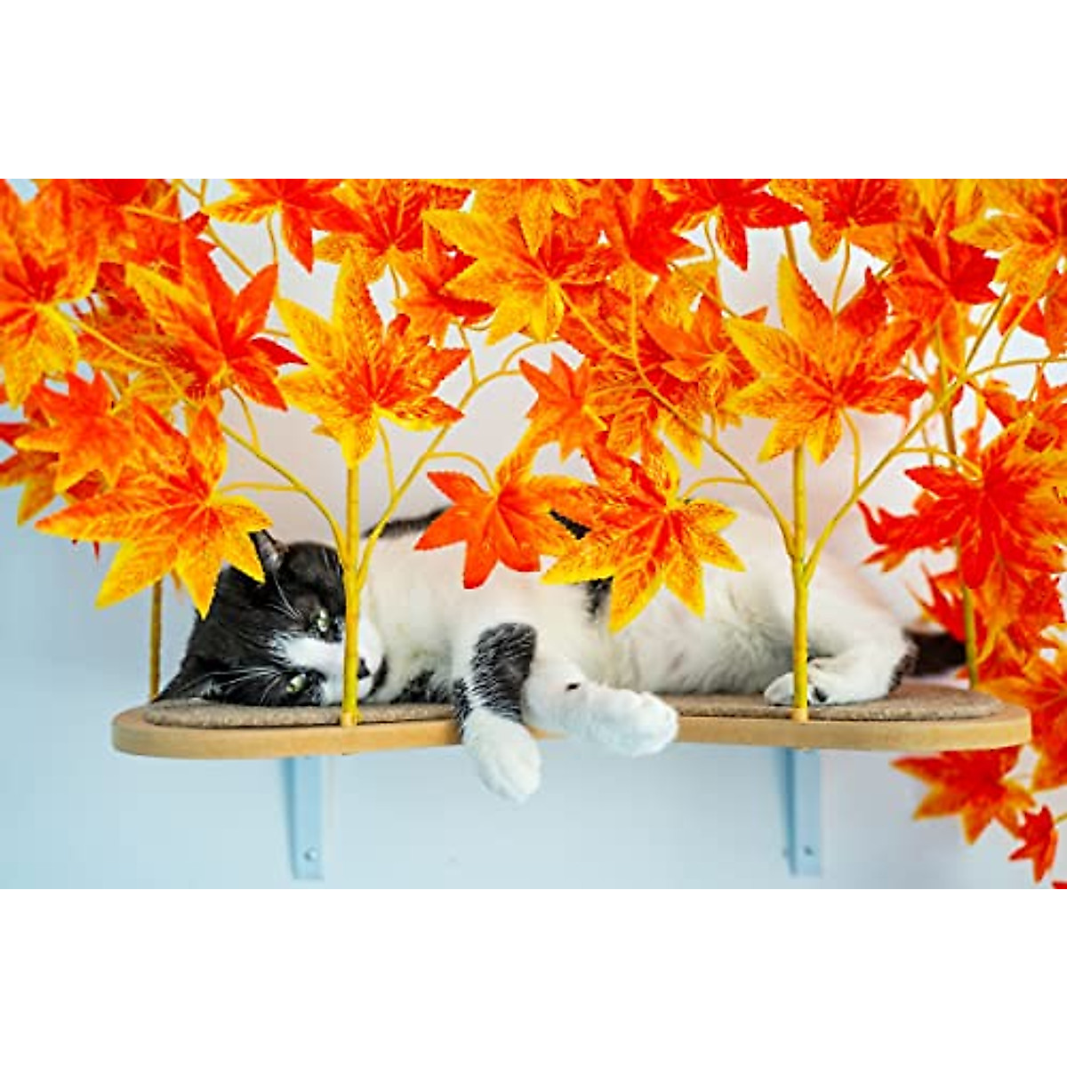 On2Pets Cat Shelves Wall-Mounted Cat Trees Cat Furniture for Climbing, Playing and Relaxing, Set of 2, Indoor Cat Shelf Made in USA… (Orange Blaze, Rectangle)