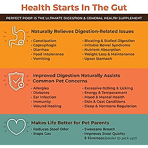 Perfect Poop Digestion & General Health Supplement for Dogs: Fiber, Prebiotics, Probiotics & Enzymes Relieve Digestive Conditions, Optimize Stool, and Improve Health (Cheddar Cheese, 12.8 oz)