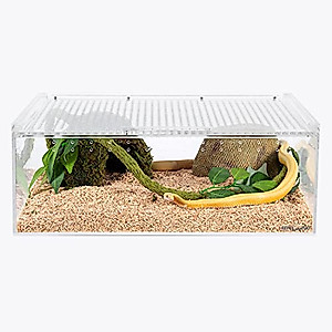 REPTI ZOO Magnetic Acrylic Enclosure, 16x12x6 Inch 5 Gallon Reptile Breeding Box Habitat Terrariums Cage for Tarantula Scorpion Sling Isopods Lizards Roach Invertebrates Spider Snake