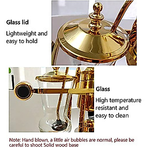 BEYANEE Belgian/Belgium Balance Siphon Coffee Maker,Family Syphon Coffee Maker,Elegant Double Ridged Fulcrum with Tee Handle,Elegant Design Retro-Style - Classic Gold…