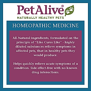 PetAlive Allergy Itch Ease Granules