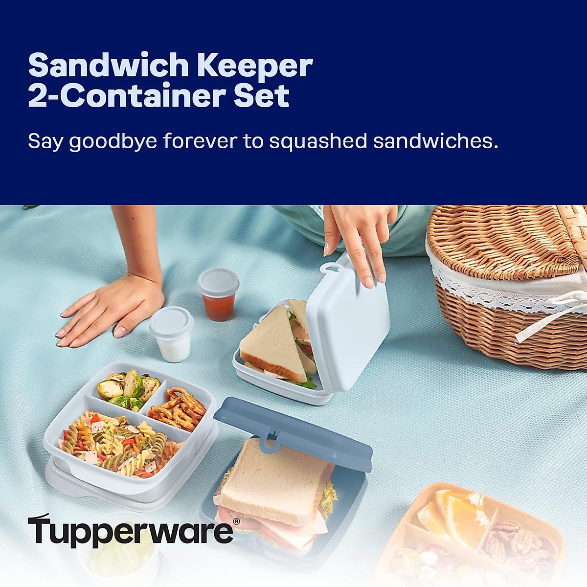 Tupperware Sandwich Keeper 2-Container Set - Dishwasher Safe & BPA Free Container (2 Hinged Containers)