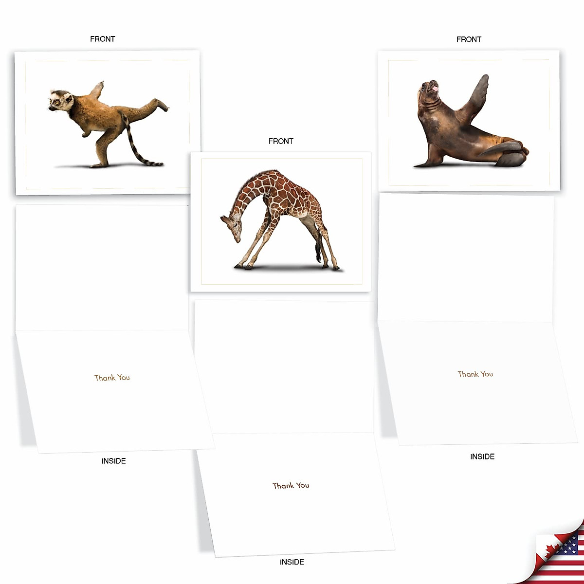 The Best Card Company - 10 Boxed Thank You Notes w/Envelopes, Assorted Stationery to Say Thanks for Men and Women - Zoo Yoga M6547TYG
