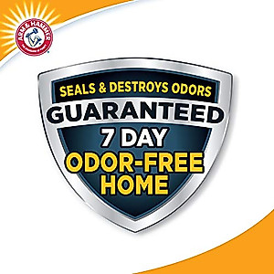 Arm & Hammer Clump & Seal Litter, Multi-Cat Litter 38 lb.