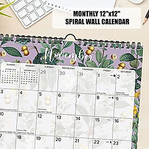 Willow Creek Press Botanical Nature Monthly Spiral-Bound 2024 Wall Calendar (12" x 12")