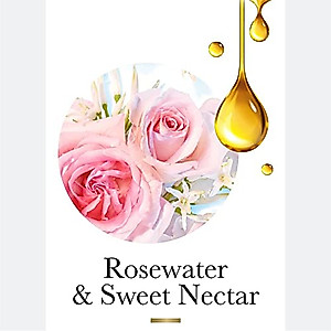 Olay Fresh Outlast Body Wash with B3, Rose Water and Sweet Nectar, 22 Fl Oz (Pack of 4)